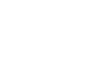 About Us – Tenglay Group