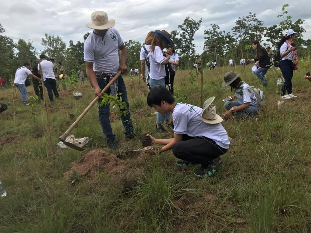 Company’s Sustainability – Tenglay Group